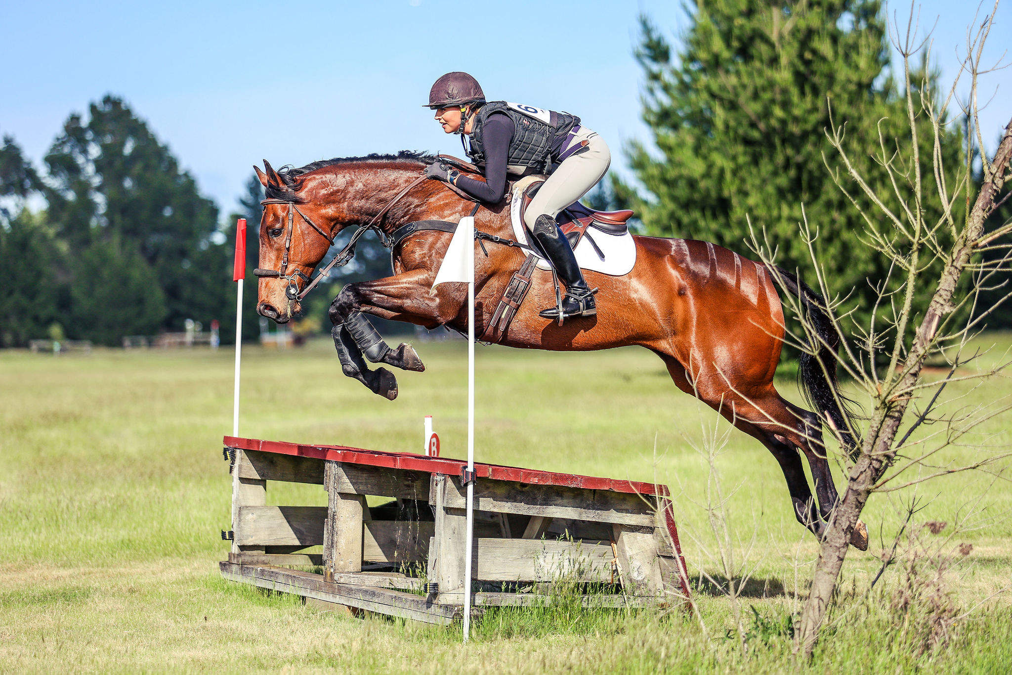 Aleatorio - EquiMatch