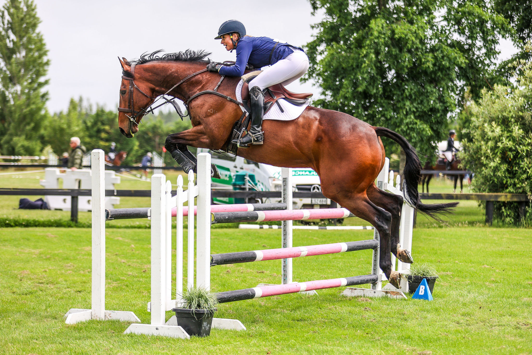 Aleatorio - EquiMatch