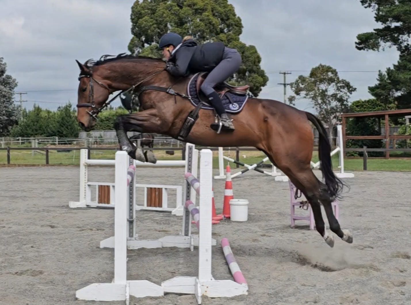 Aleatorio - EquiMatch