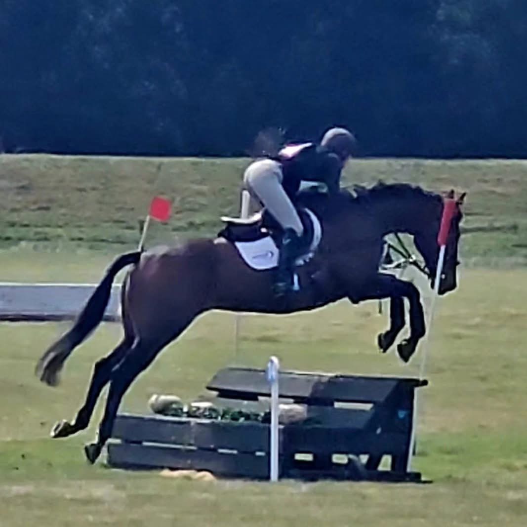 Aleatorio - EquiMatch