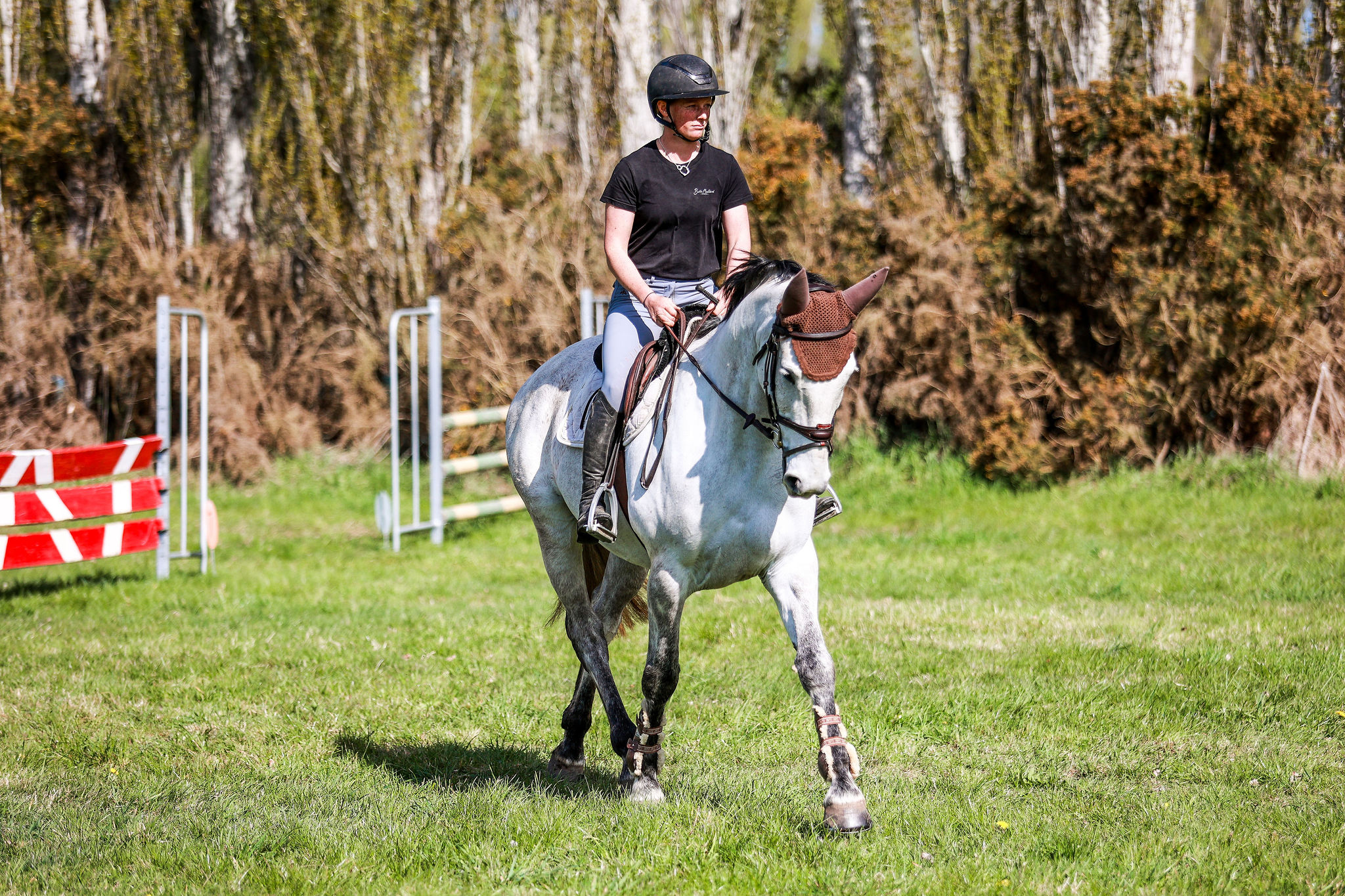 Bucatini - EquiMatch