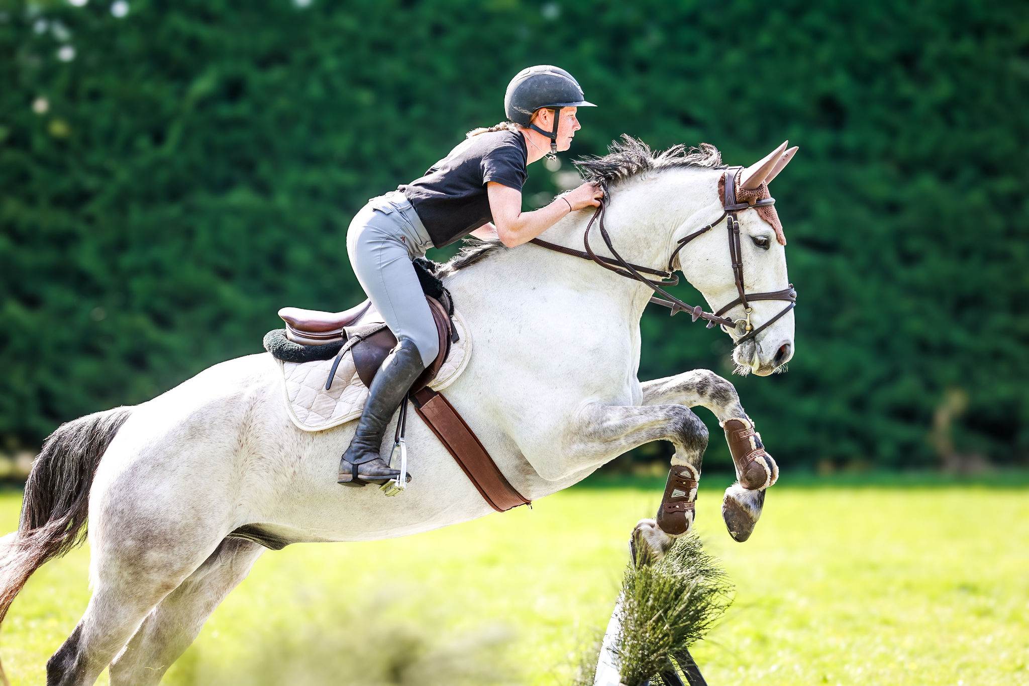 Bucatini - EquiMatch