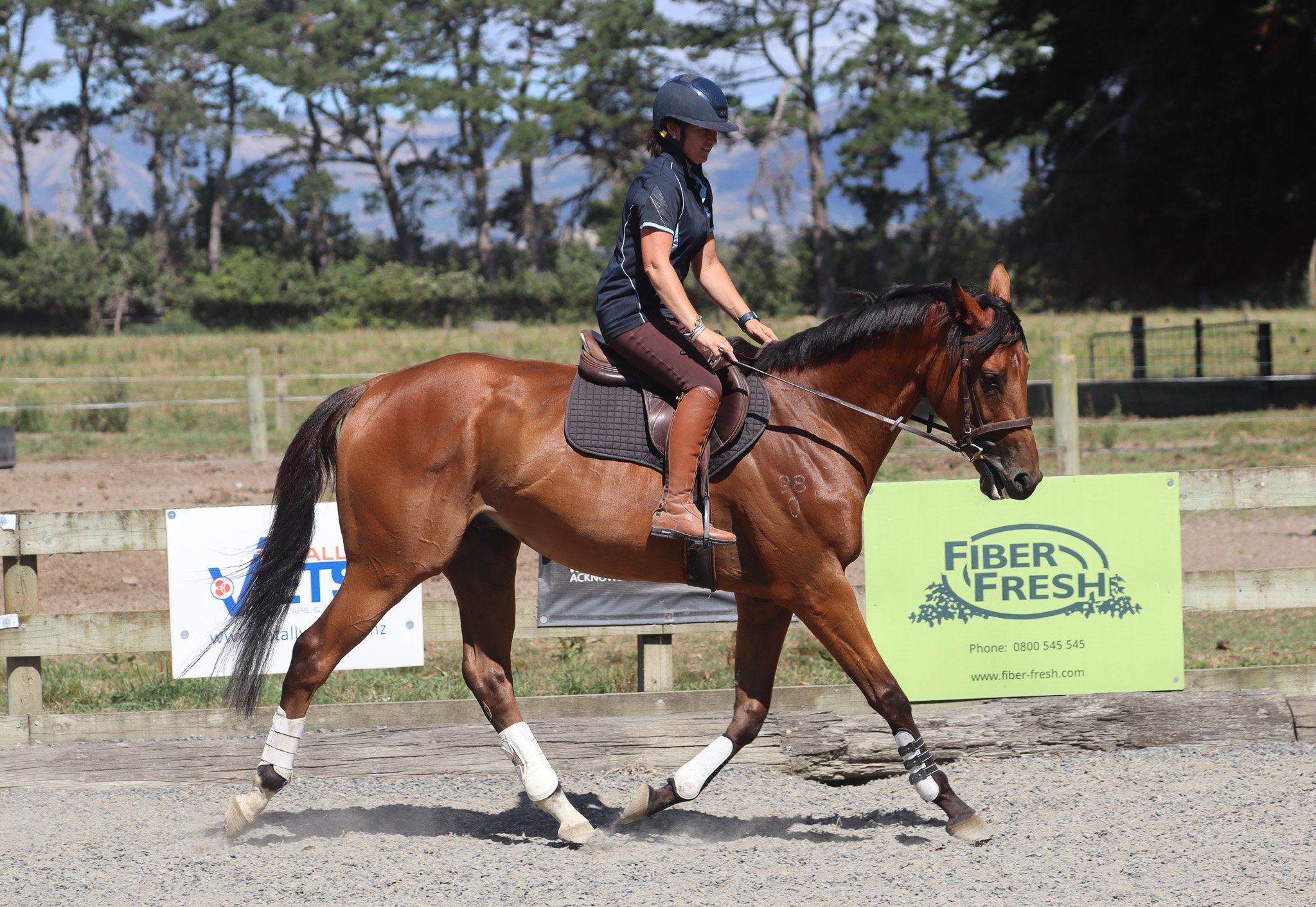 Up the Wahs - EquiMatch