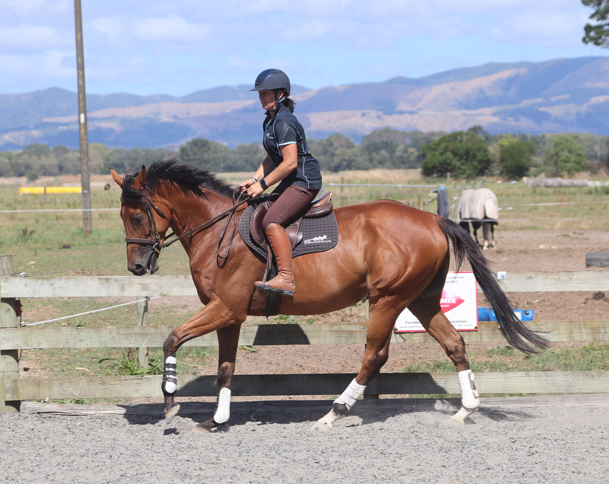 Up the Wahs - EquiMatch