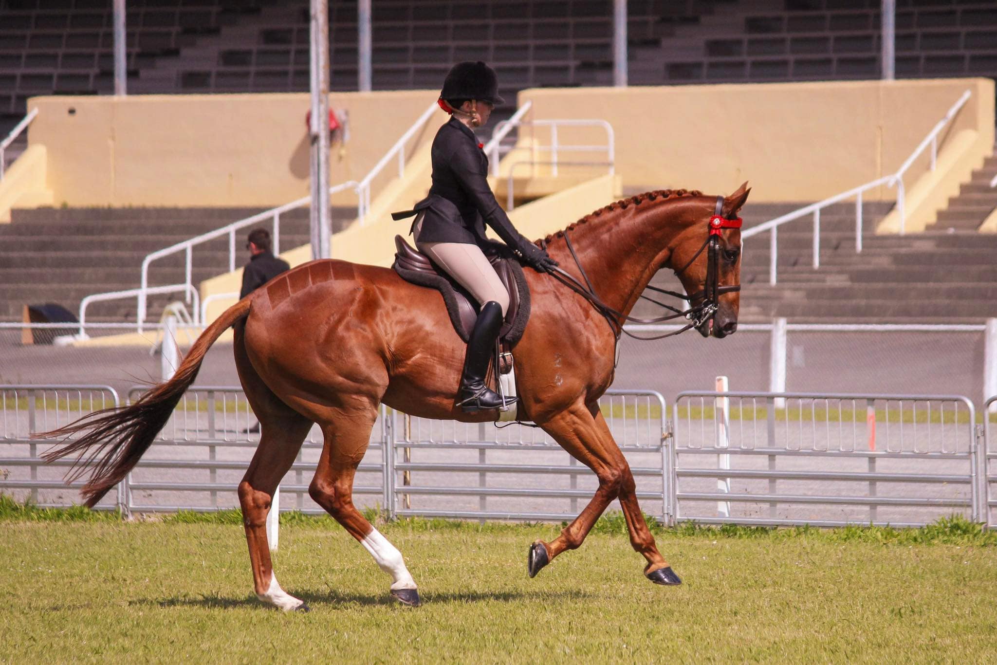 Lincoln River - EquiMatch