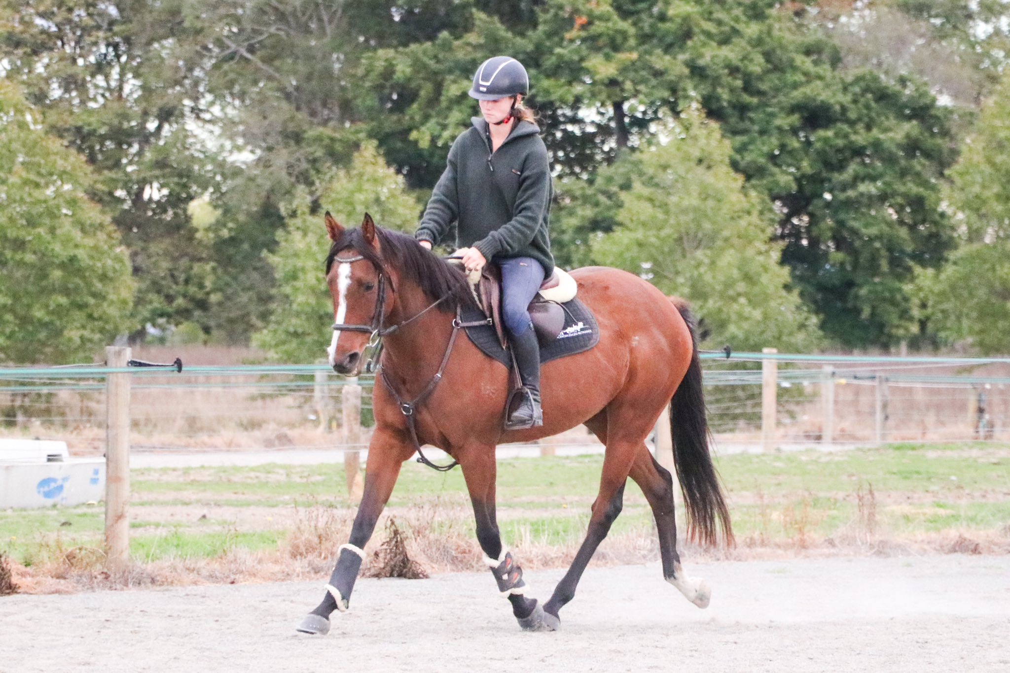 That's Not Ideal - EquiMatch