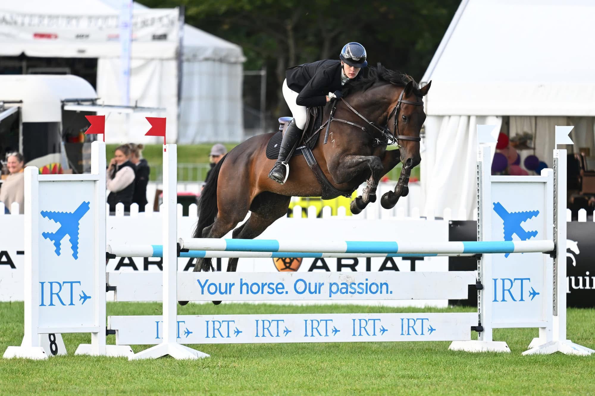 I Can Try - EquiMatch