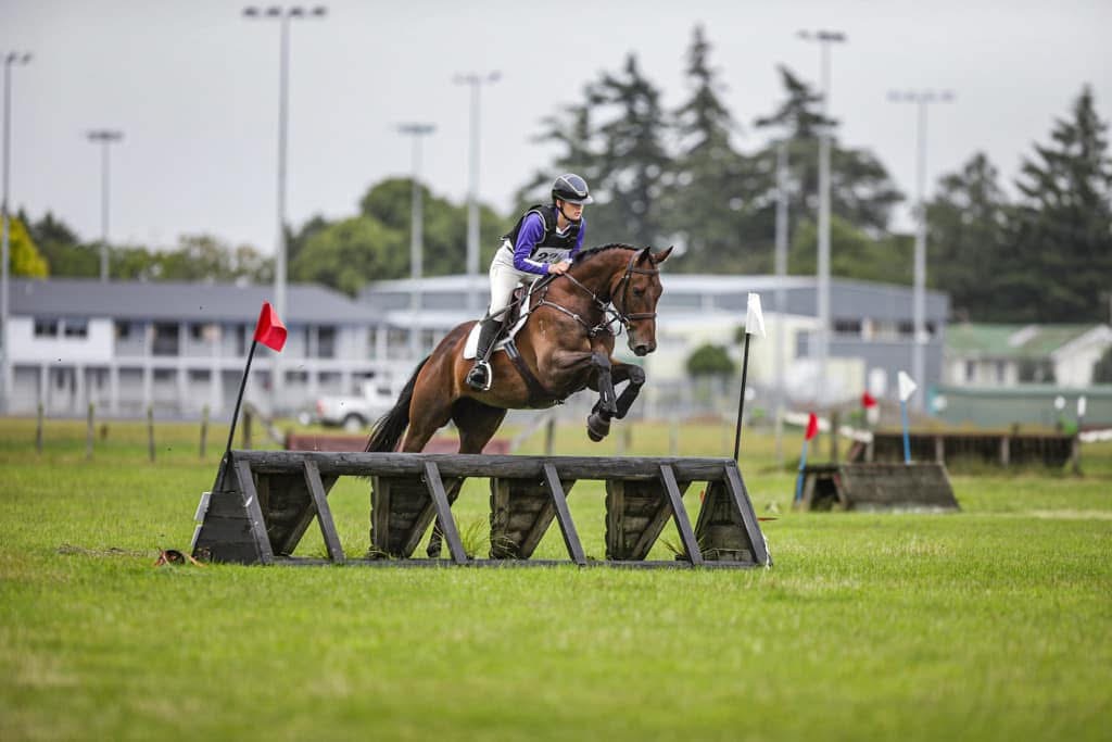 I Can Try - EquiMatch