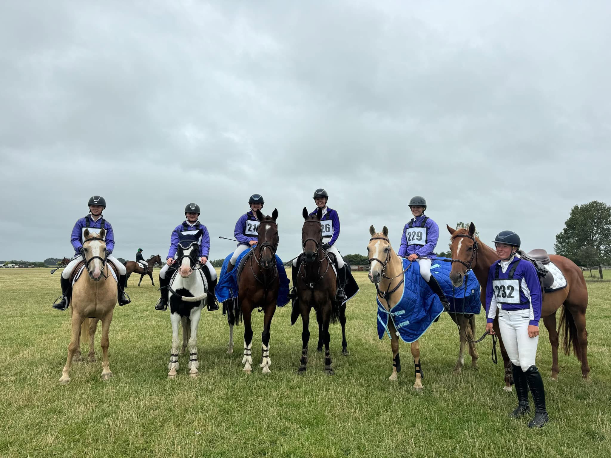 I Can Try - EquiMatch