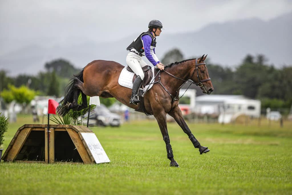 I Can Try - EquiMatch