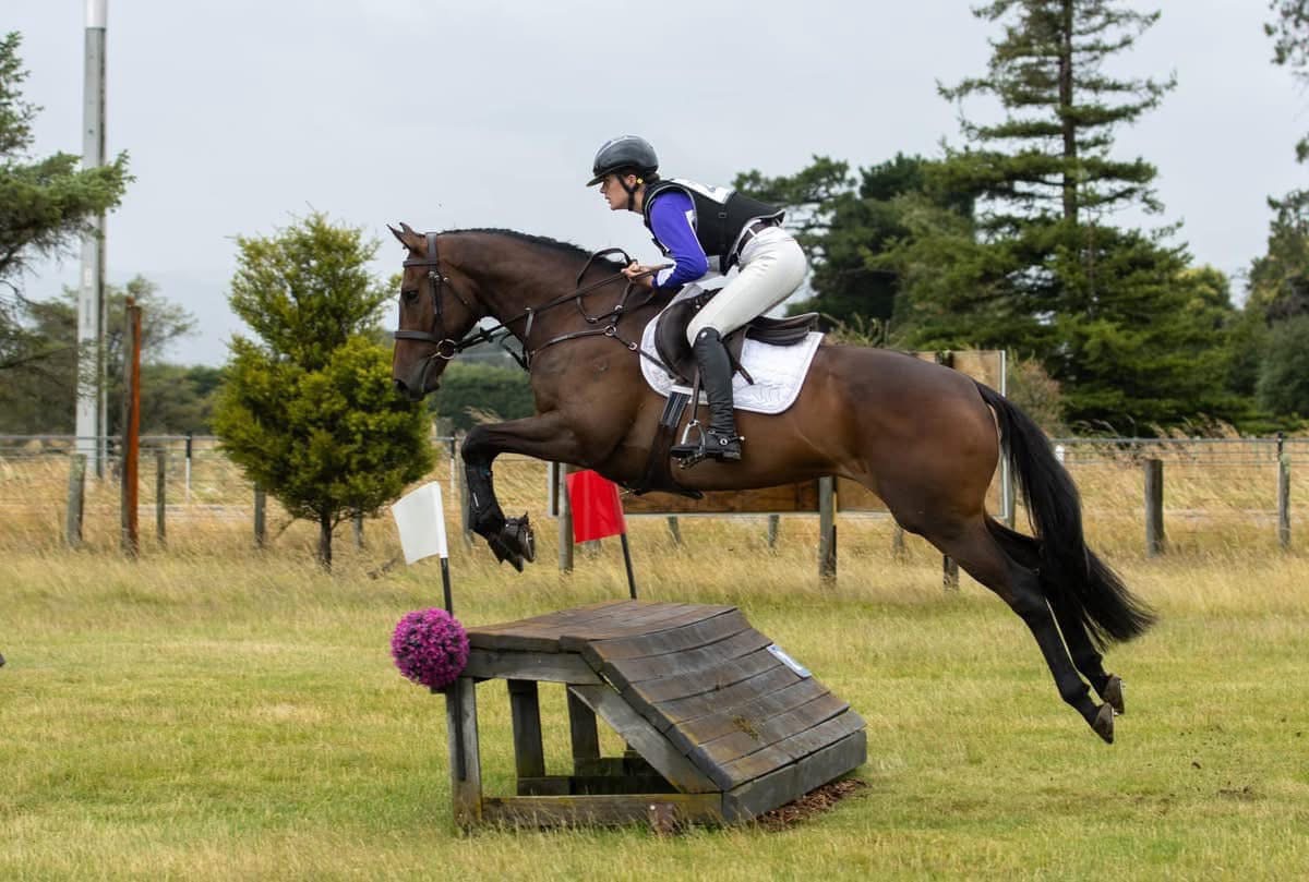 I Can Try - EquiMatch