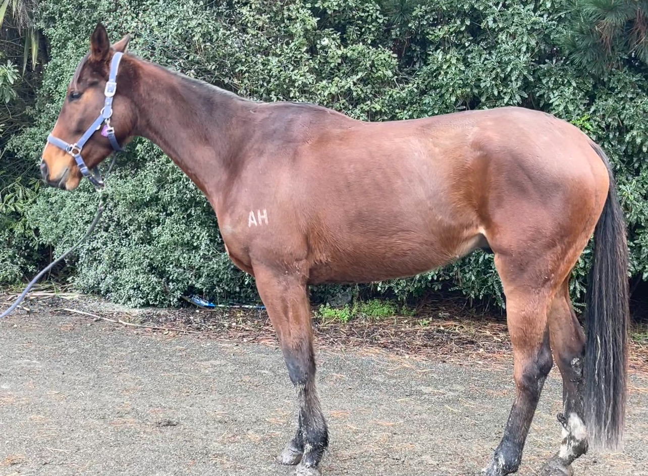 By Chance - EquiMatch