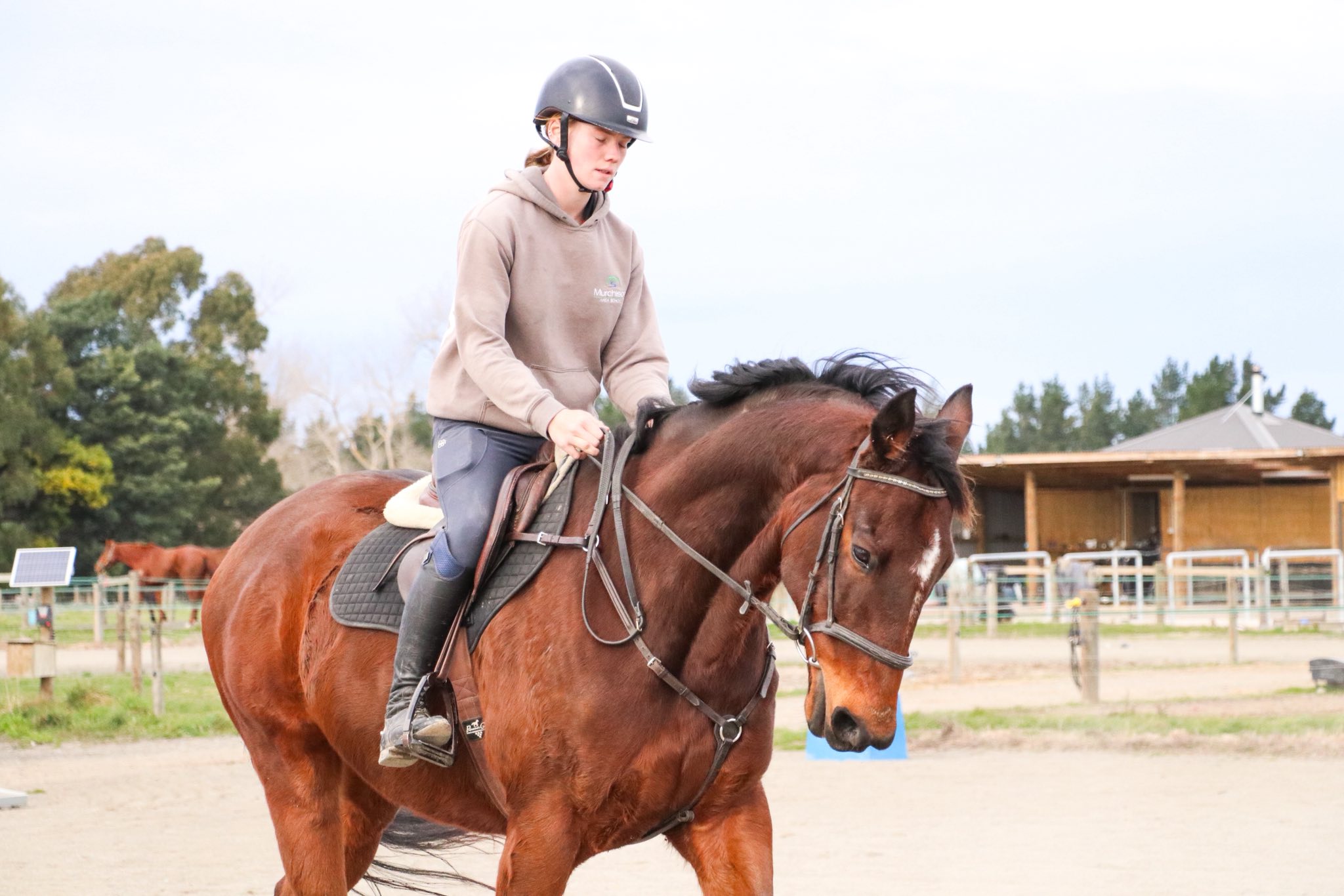 Boy Soldier - EquiMatch