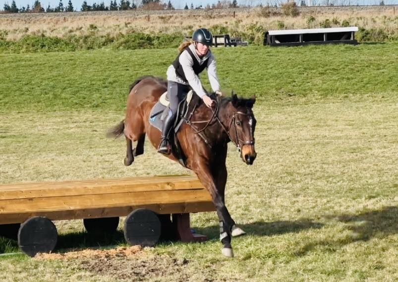 Boy Soldier - EquiMatch