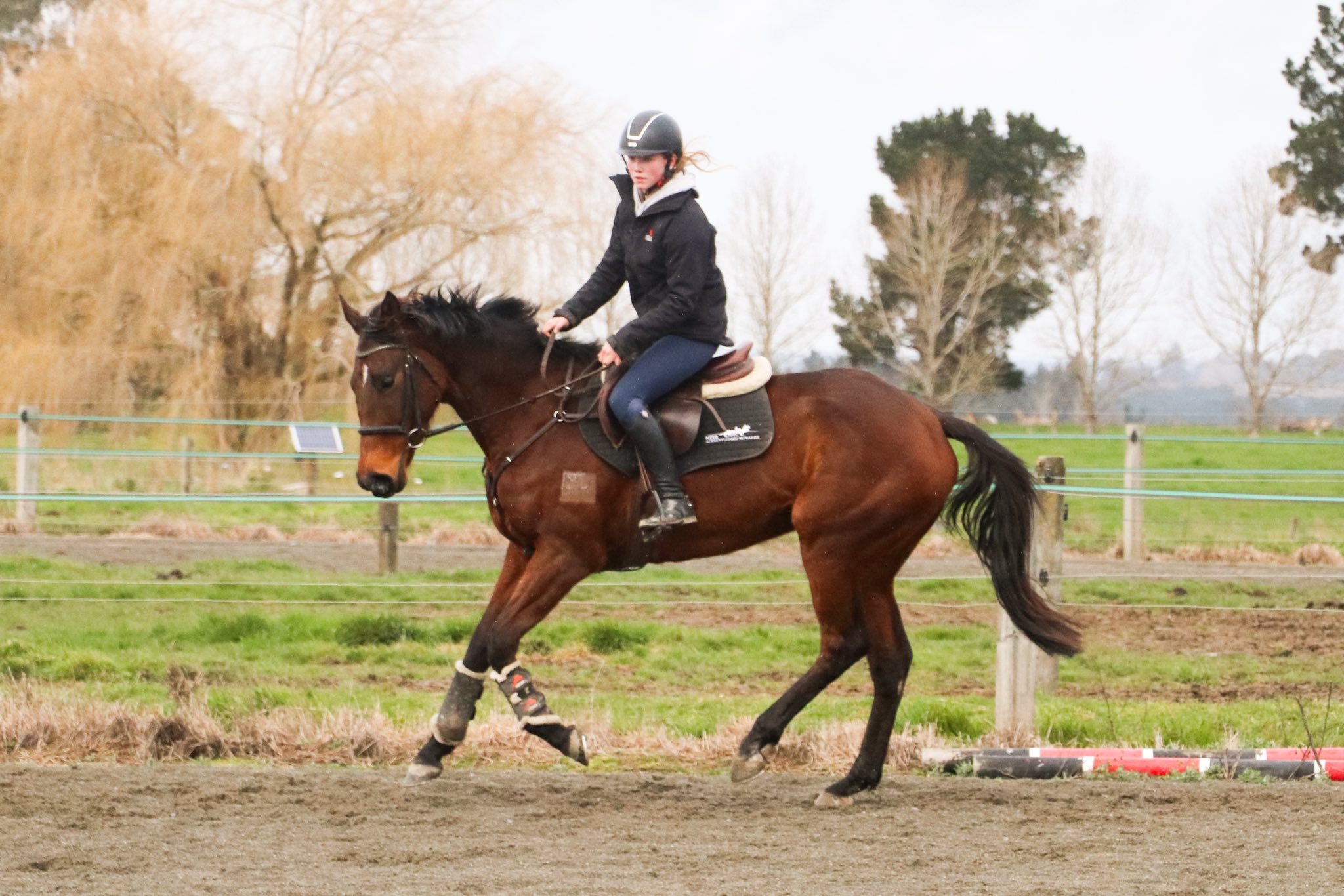 Crunchy Babe - EquiMatch