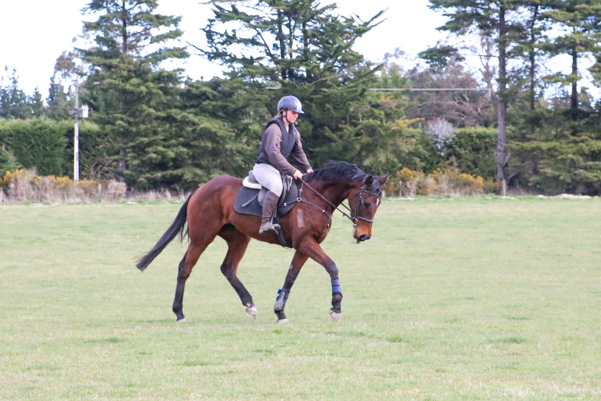 Crunchy Babe - EquiMatch