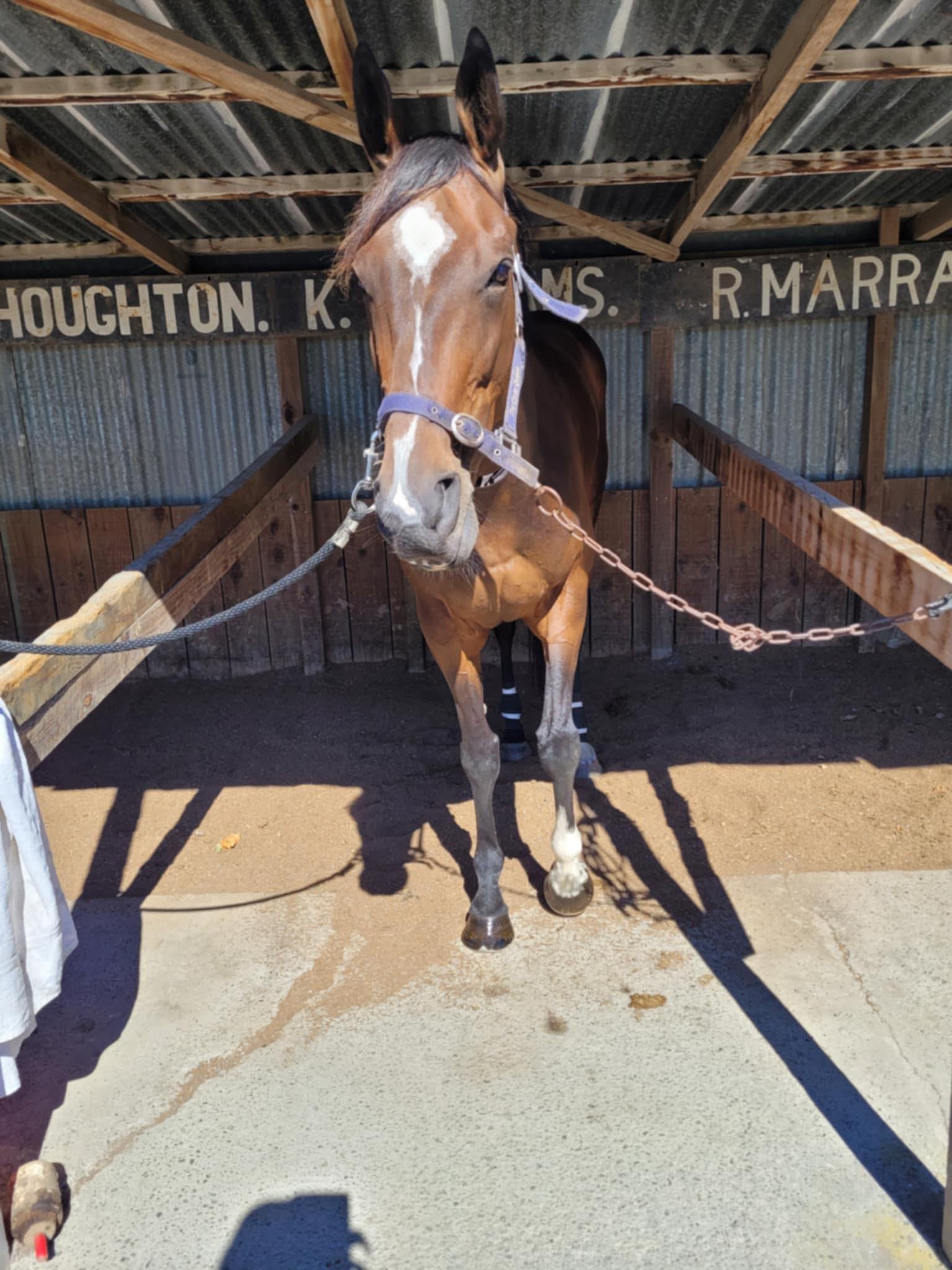 Live and Learn - EquiMatch