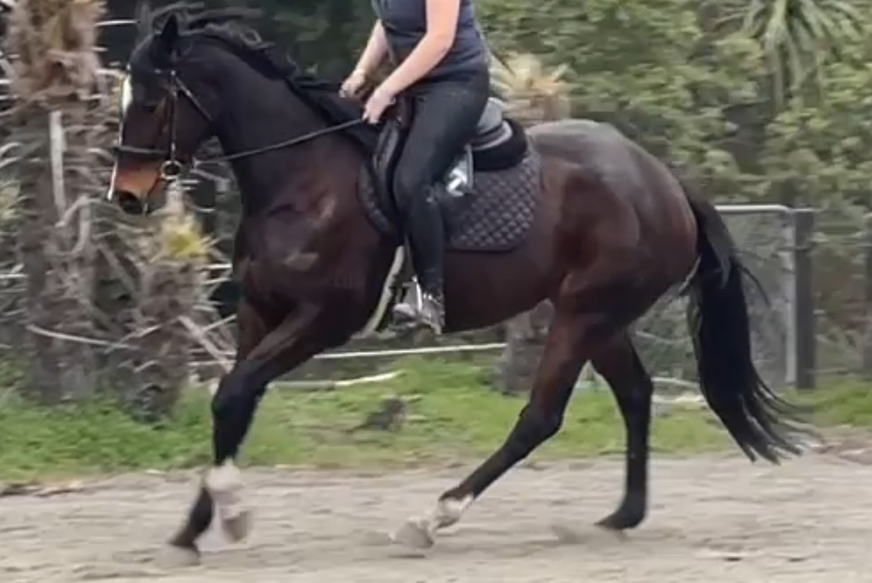 Live and Learn - EquiMatch