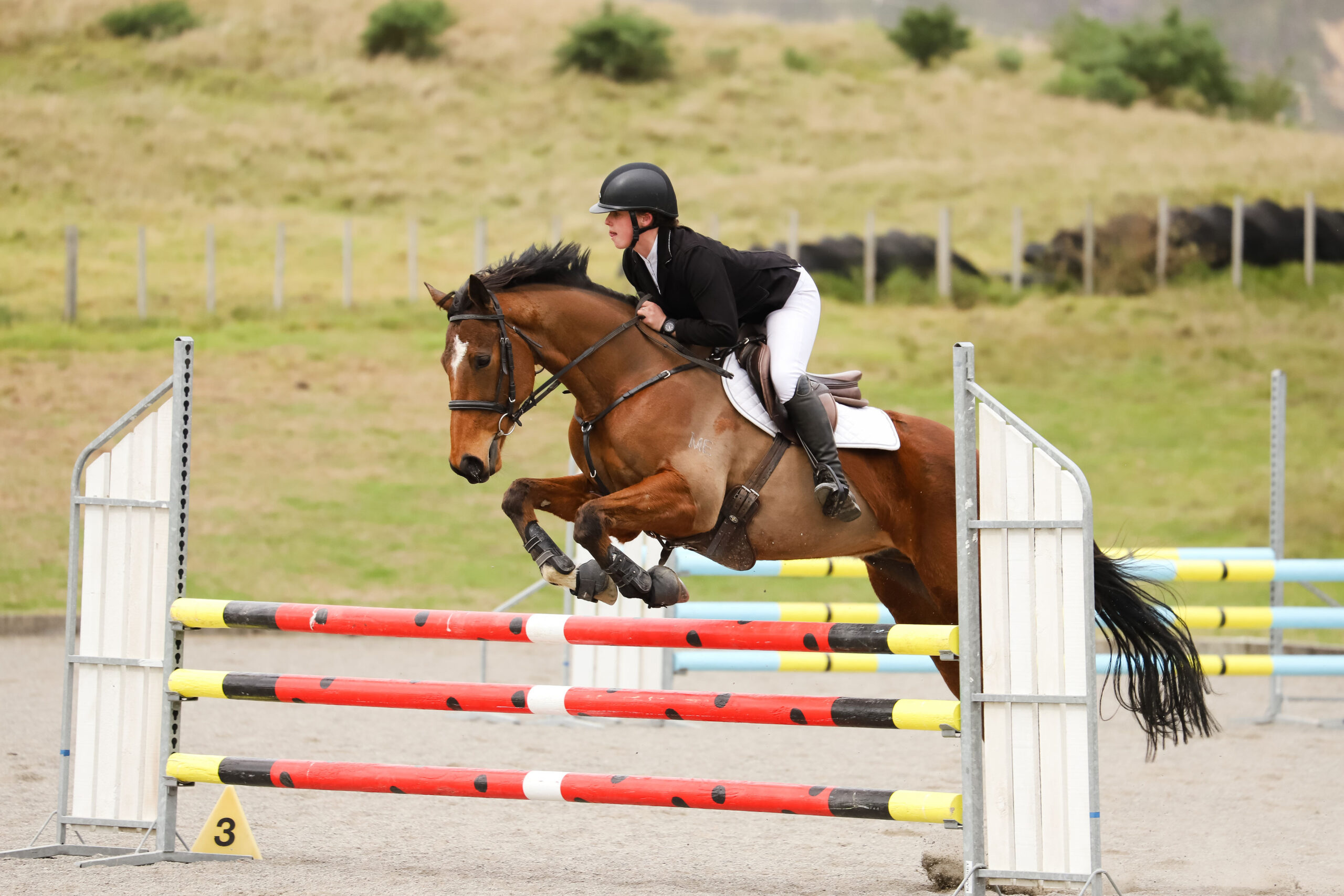 LK Super Deluxe - EquiMatch