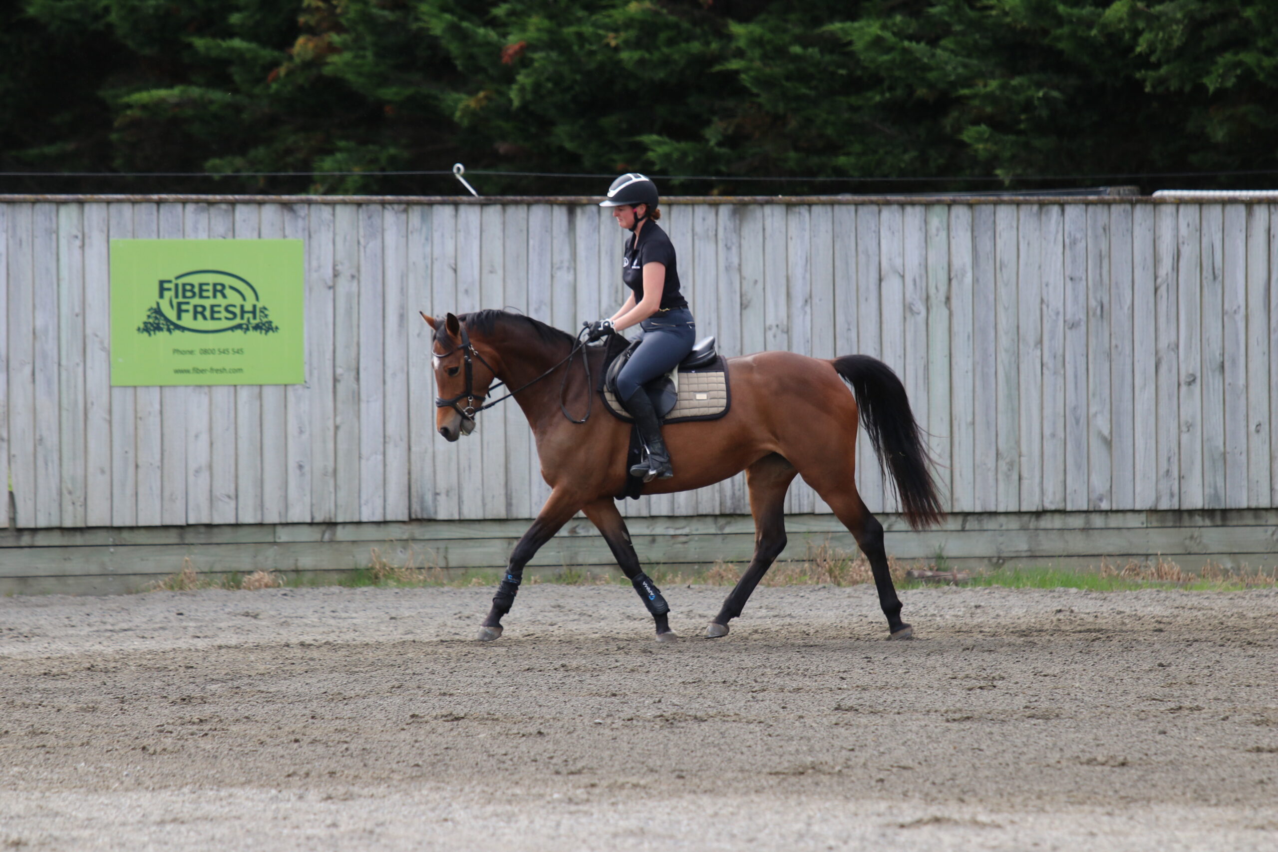 Elsa Xtreme - EquiMatch