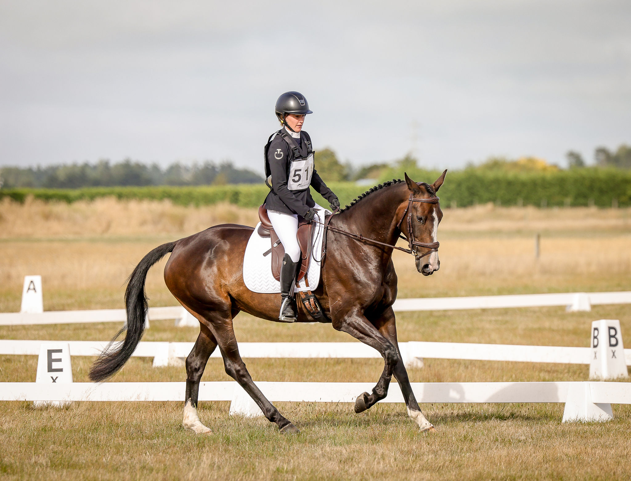 TMS Elvera - EquiMatch