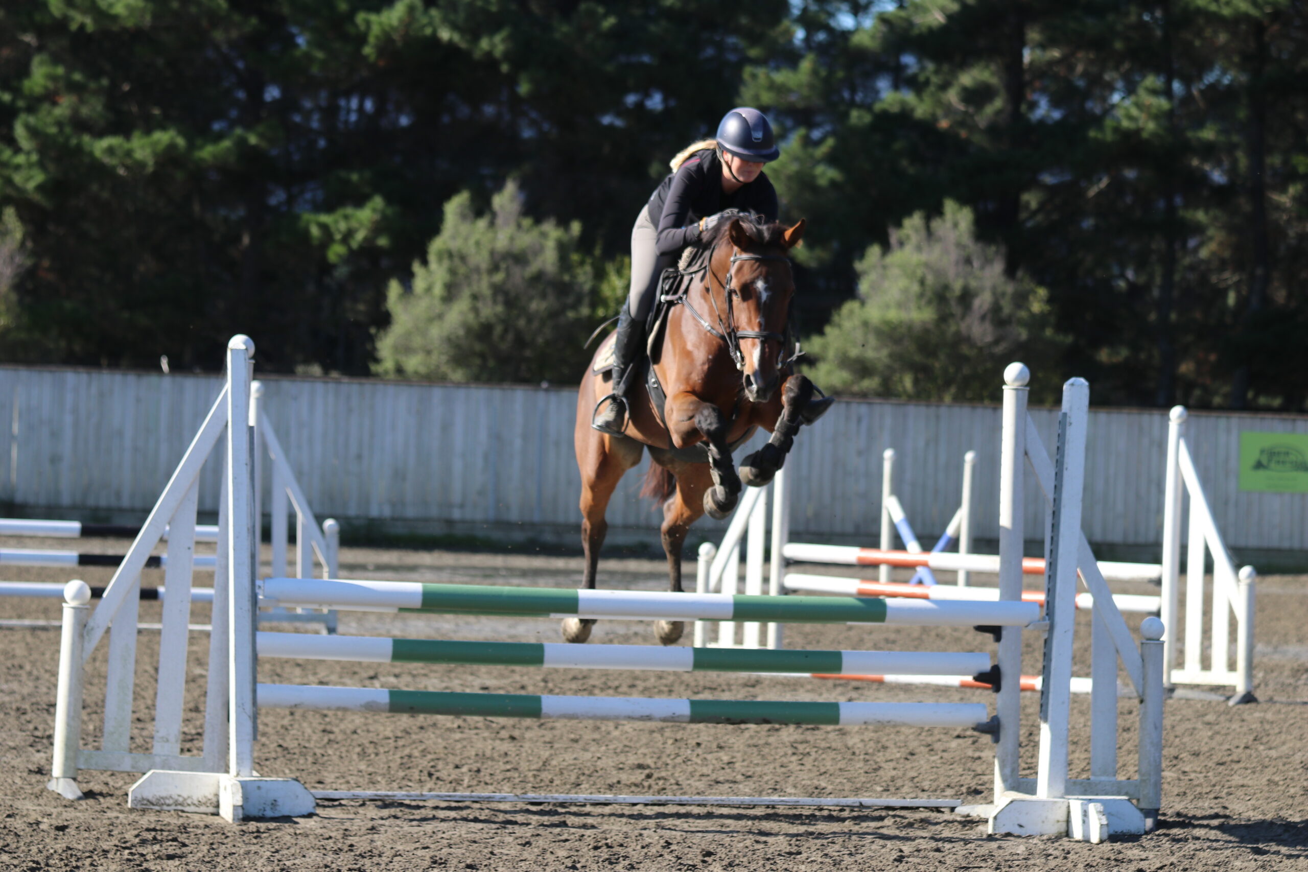 Maple Xtreme - EquiMatch