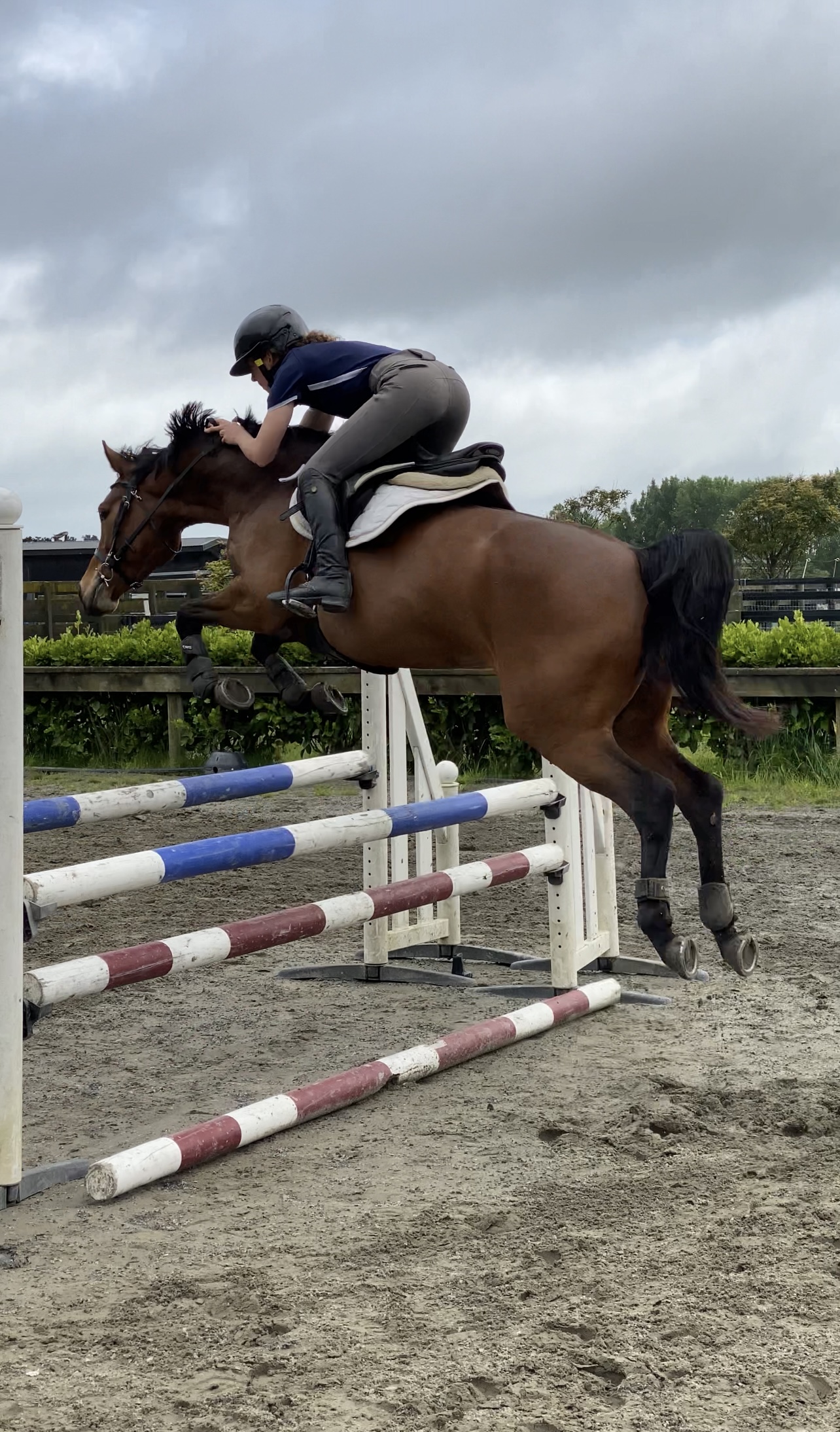 Elsa Xtreme - EquiMatch