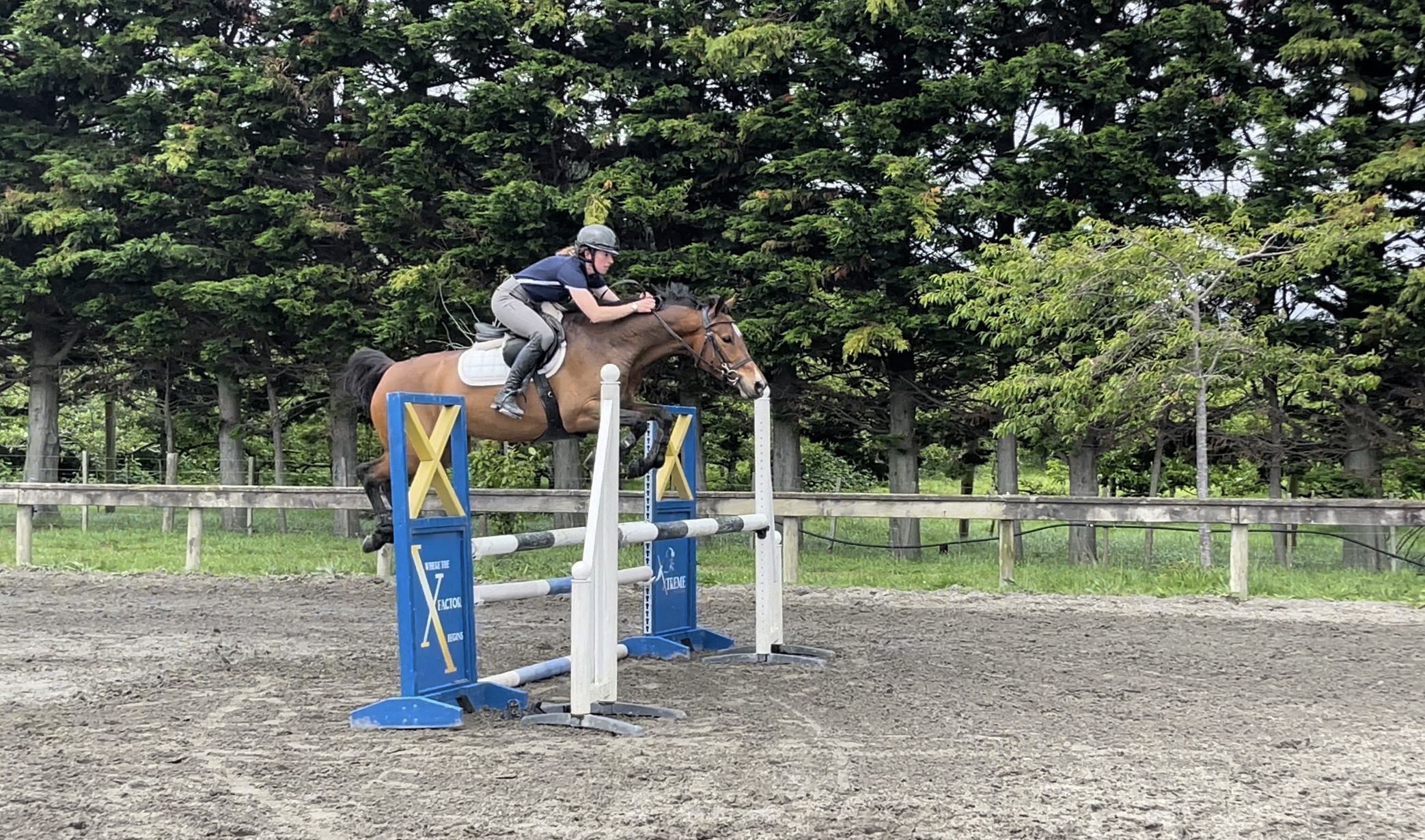 Elsa Xtreme - EquiMatch