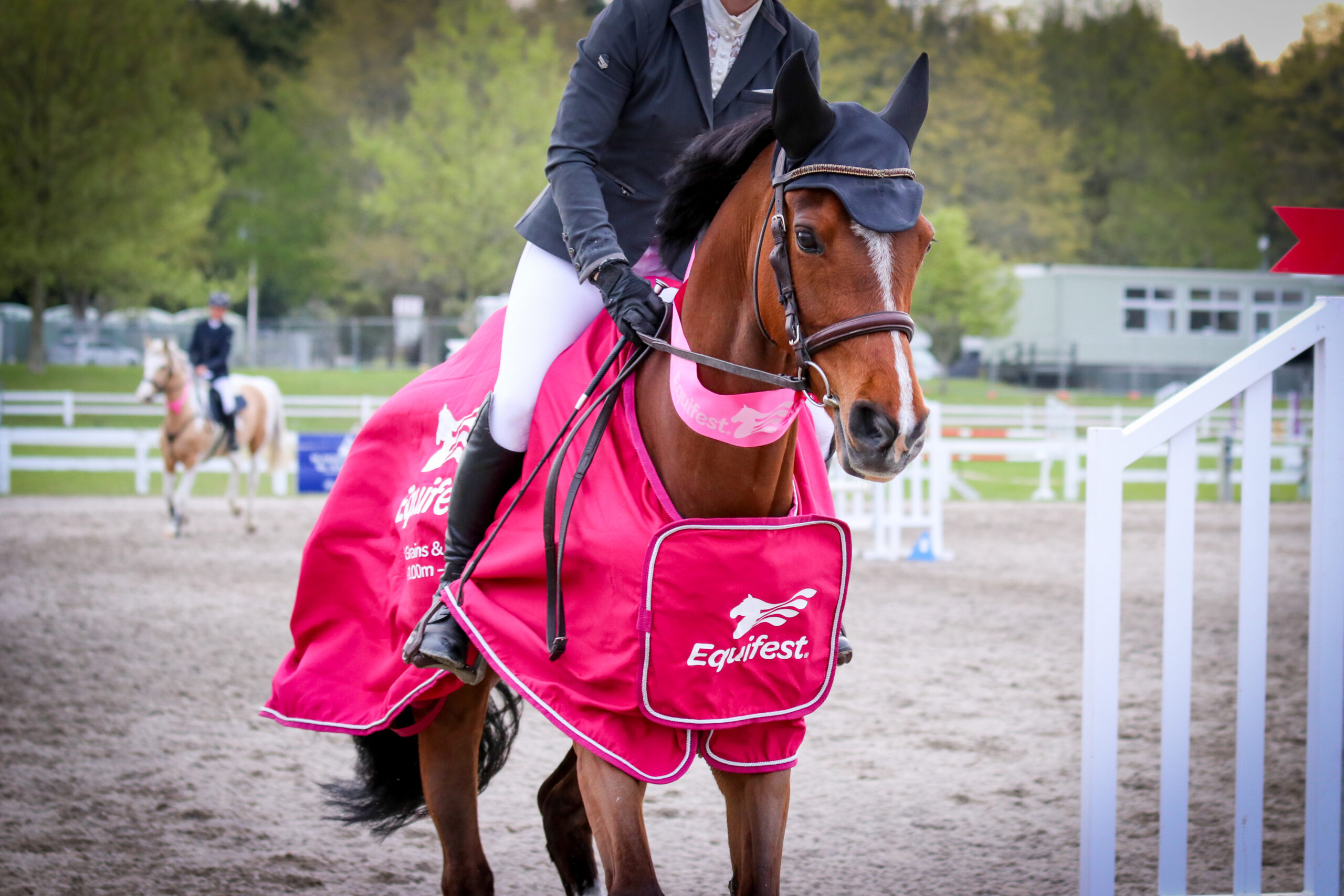 Carnival Xtreme - EquiMatch