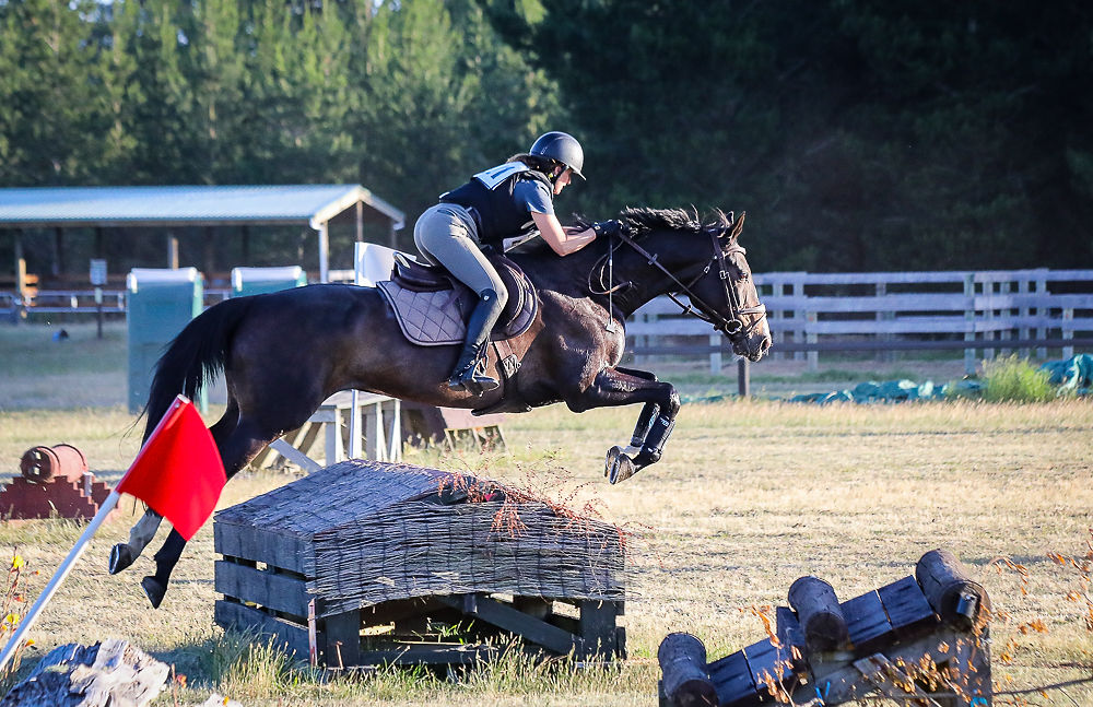 TMS Elvera - EquiMatch