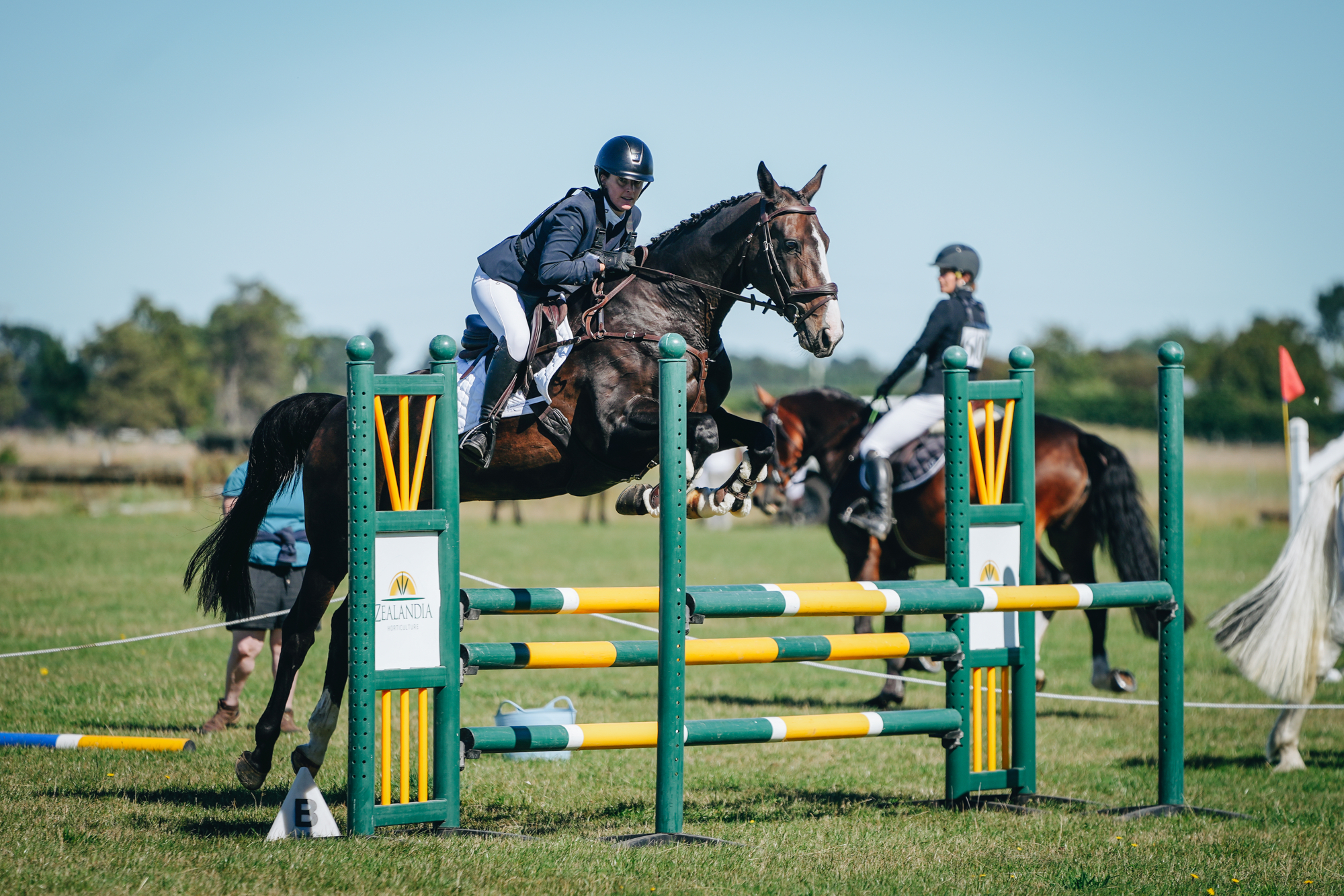 TMS Elvera - EquiMatch